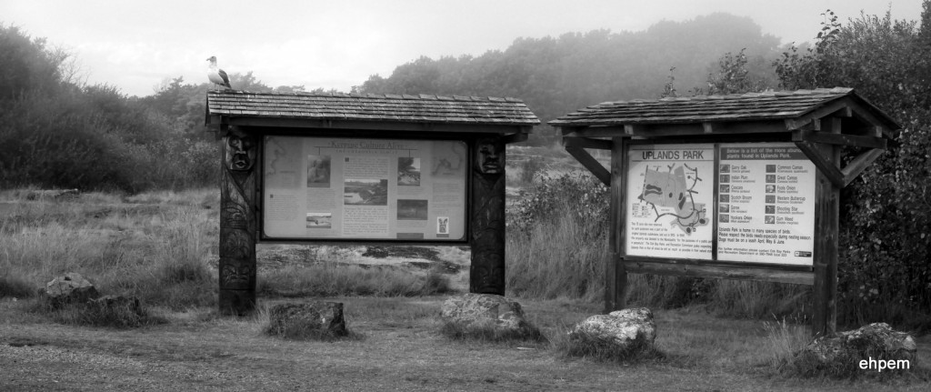 Keeping Culture Alive – The Cattle Point Songhees History Sign | burnt ...