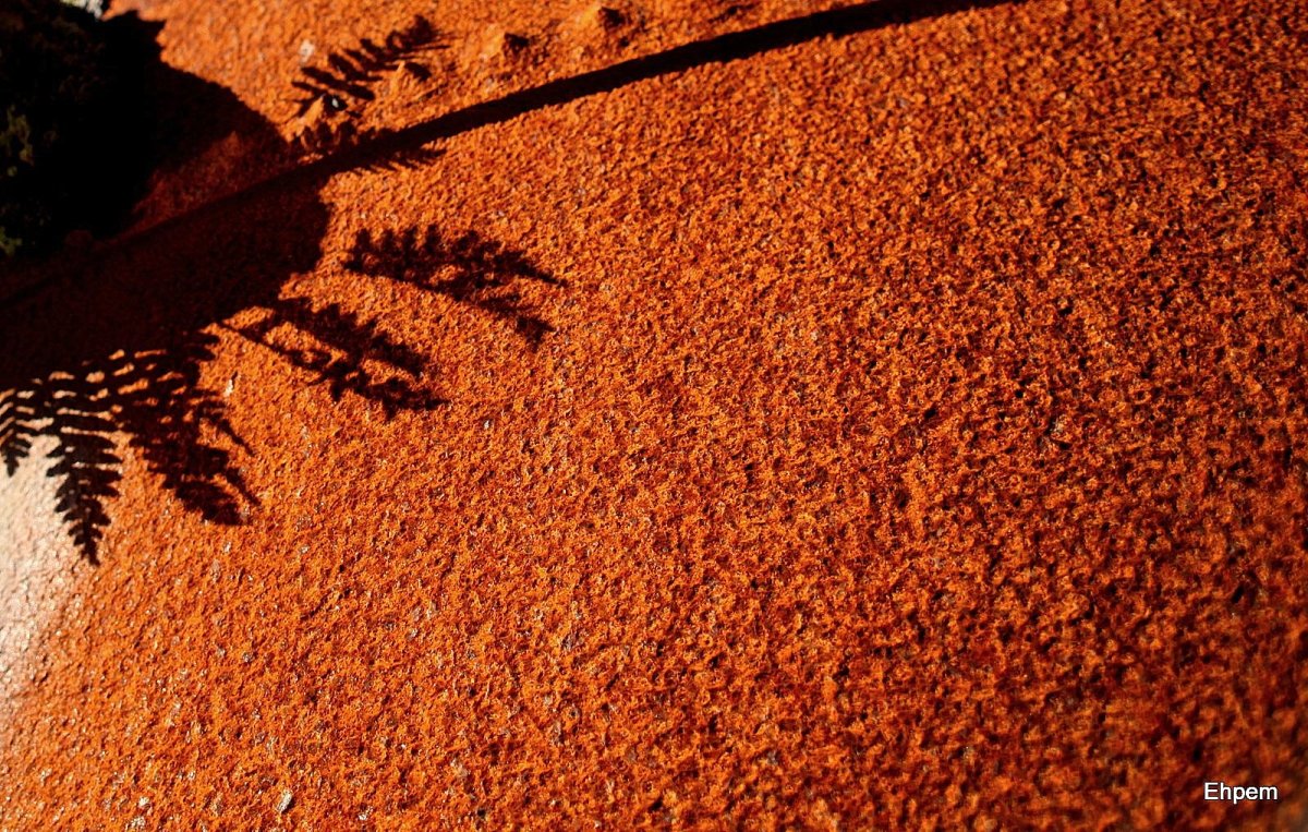 Try-Pot Sunset Details | burnt embers